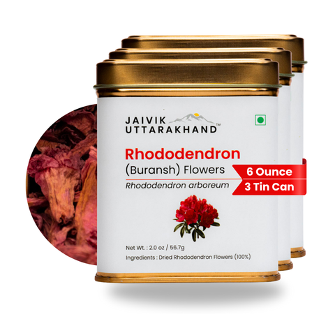 Rhododendron (Buransh) Tea - 170.1 gram (6 OZ) – Jaivik Uttarakhnd