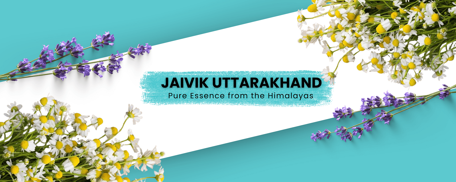 Jaivik Uttarakhand | Serenity of Himalayas, Purity of Ganga – Jaivik ...